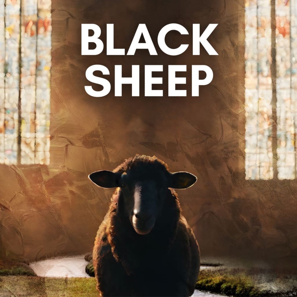 Black Sheep - New Wolsey Theatre
